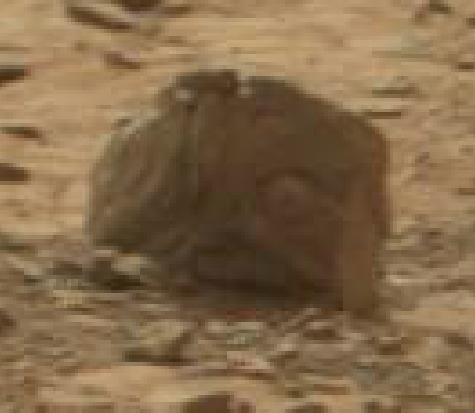 Evidence for nuclear explosions on Mars [pdf] | Hacker News